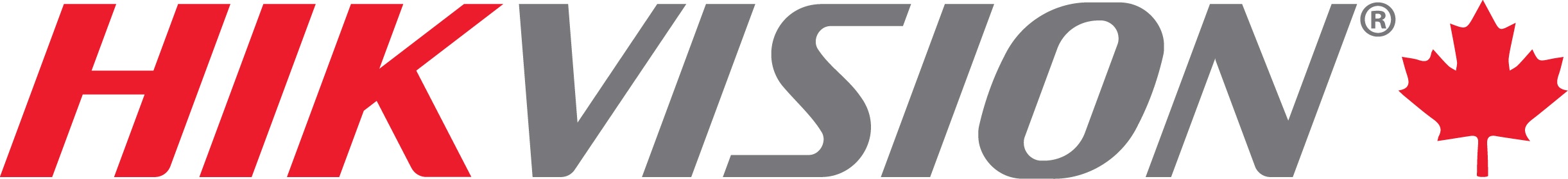 Hikvision Logo